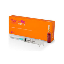 Flexicam B12 Forte Con Meloxicam Y Vitamina B12 Y 3Ml X Ampolla— Farmacorp