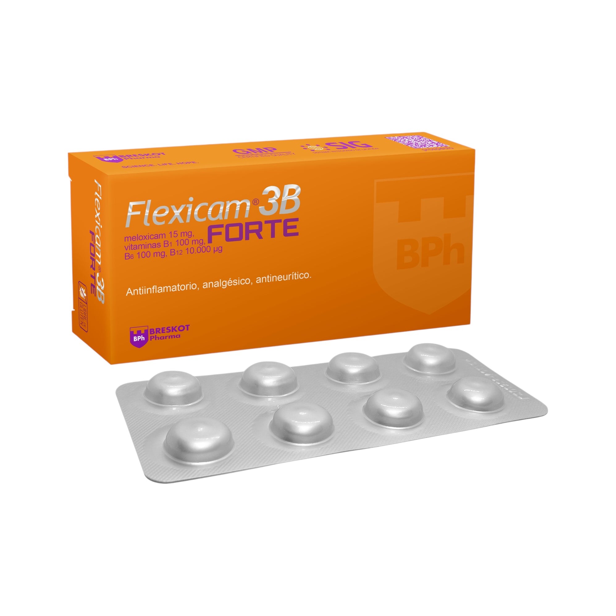 Flexicam 3B Forte Meloxicam / Vitaminas B1 B6 B12 X Comprimido— Farmacorp